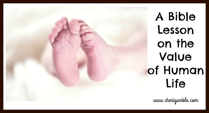 A Bible Lesson on the Value of Human Life – Cheri Gamble