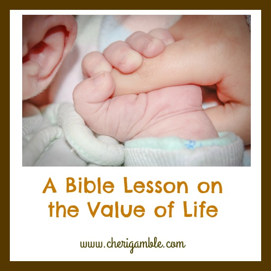 A Bible Lesson on the Value of Human Life – Cheri Gamble